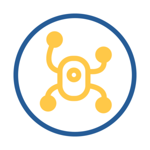 The Monitor - Rhythm Express